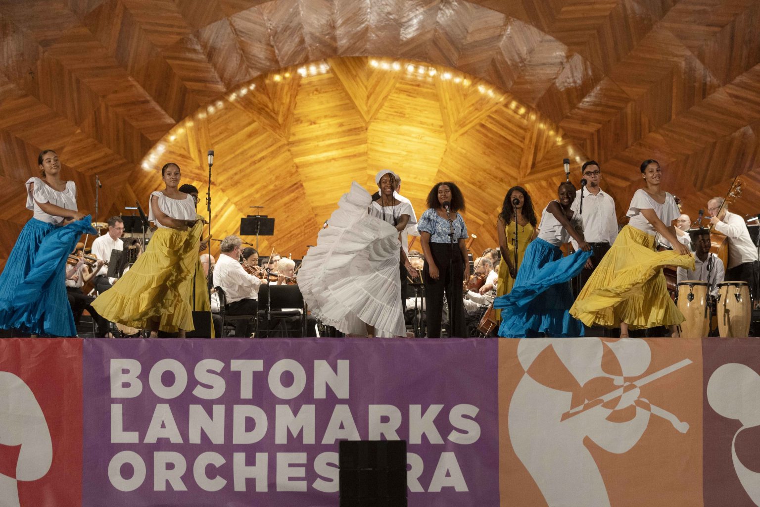 Who We Are – Landmarks Orchestra